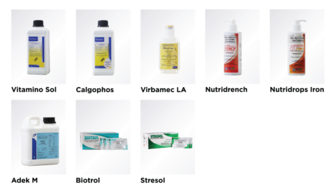 Products | Pilmico
