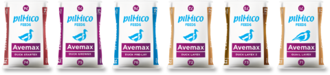 Pilmico Products - Flour | Feeds | Farms | Pet Foods | Gamefowl