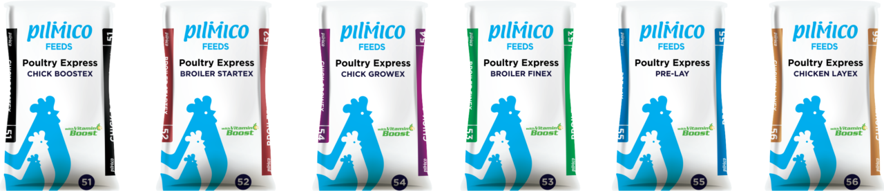 Products | Pilmico