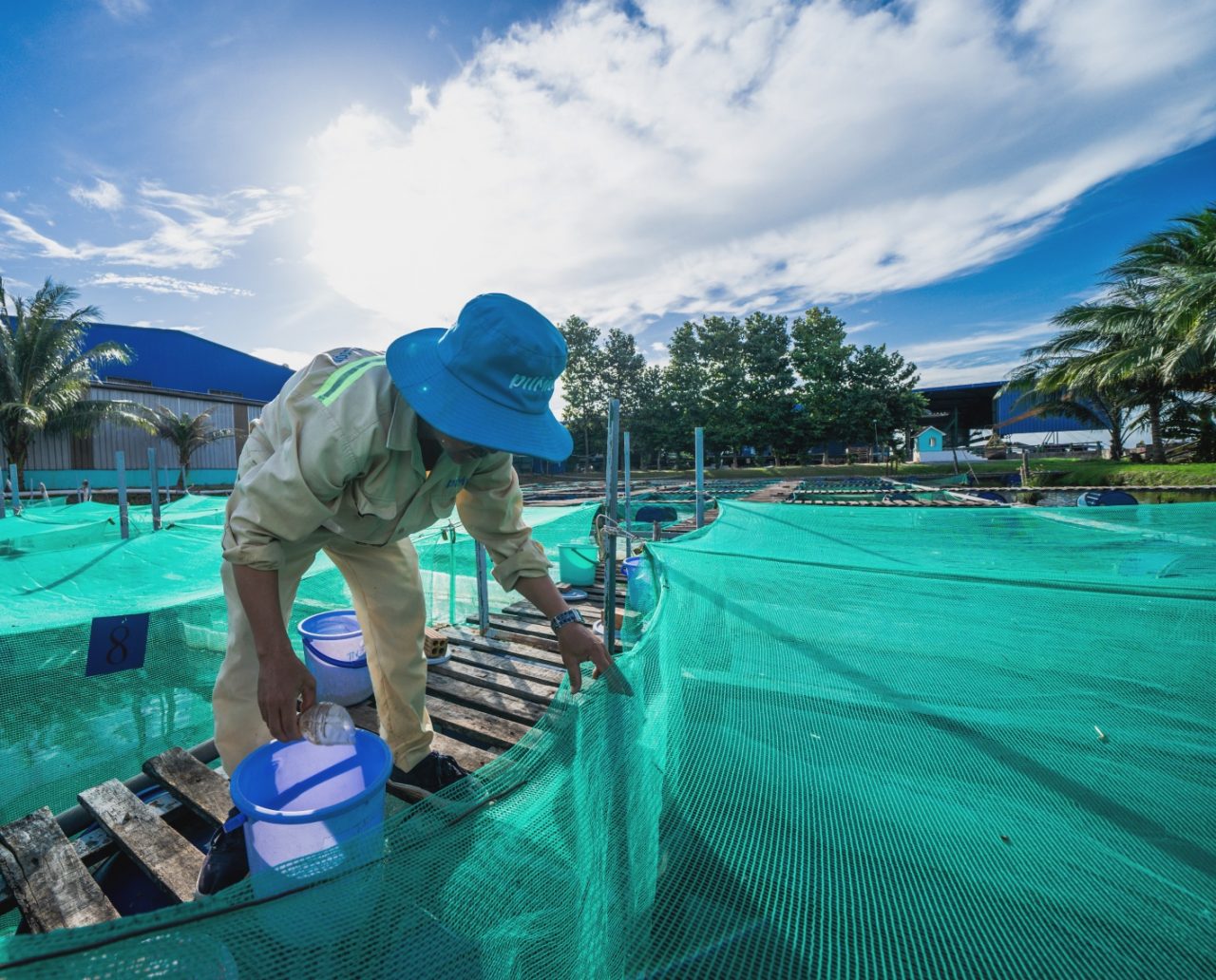 About Us - Your Partner For Growth | Pilmico