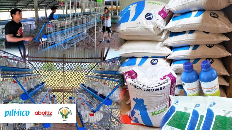 Protecting Swine Health: 5 Farm Biosecurity Practices for Pig Owners in ...