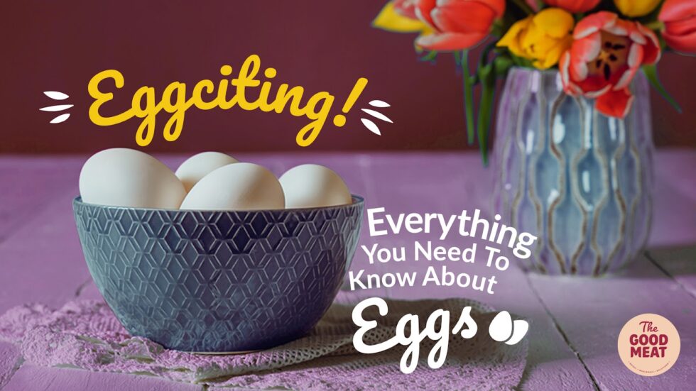 Eggciting! Everything You Need To Know About Eggs - Pilmico