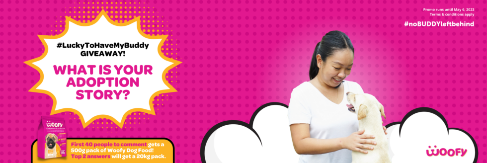 Building Your Poultry Empire: A Poultry Farming for Beginners Guide ...