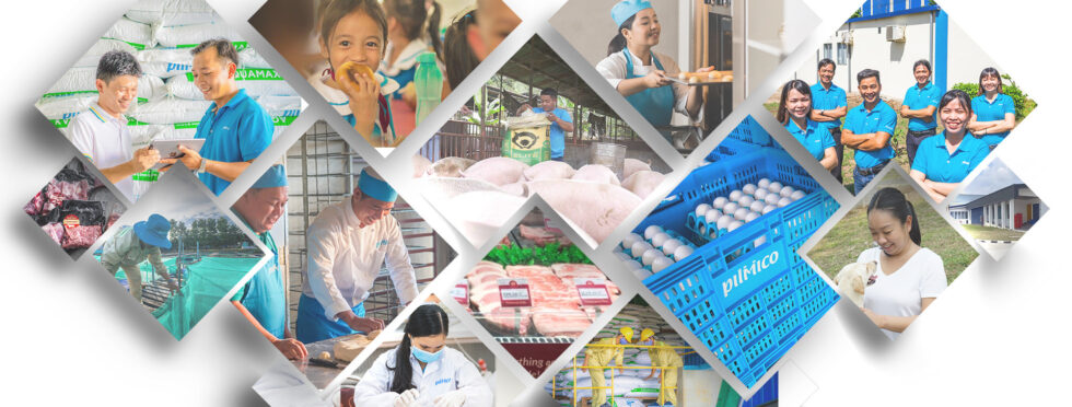 Contact Us | Pilmico