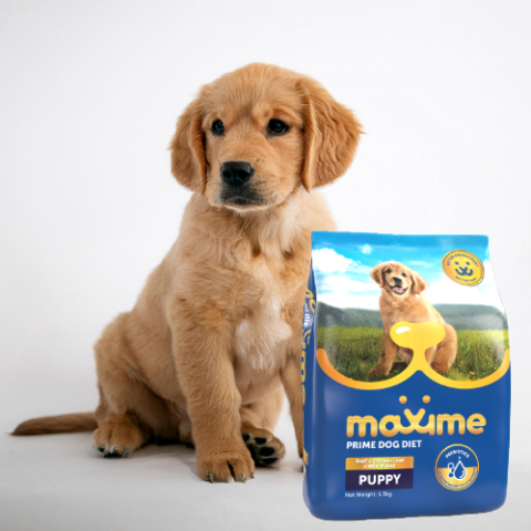 Pet Food Supplier | Pilmico