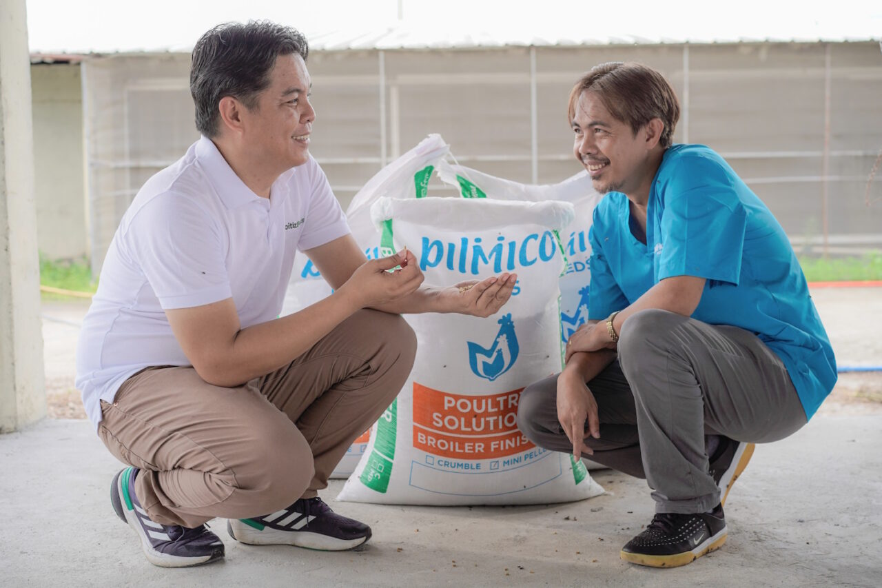 Your Partner in Agribusiness and Food & Nutrition | Pilmico