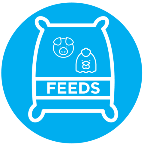 About Us - Your Partner For Growth | Pilmico