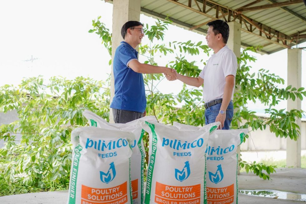Clucking Business: Unveiling the Types of Poultry Farming - Pilmico